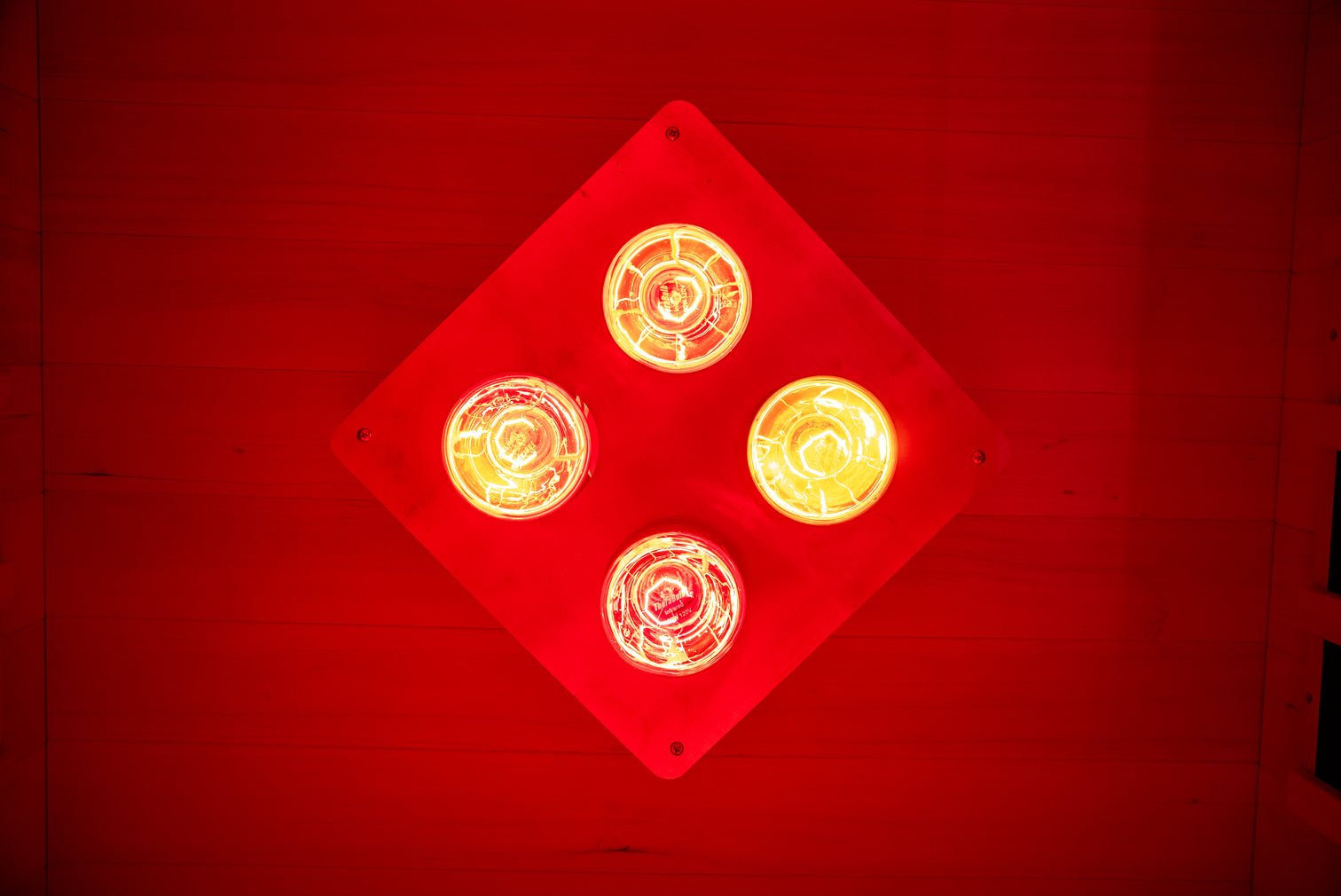 Sweat Box - Infrared & Red Light Sauna